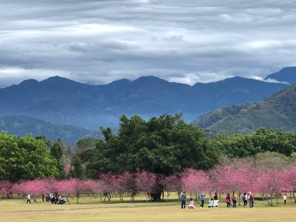 家是故鄉美 – T.H. Schee