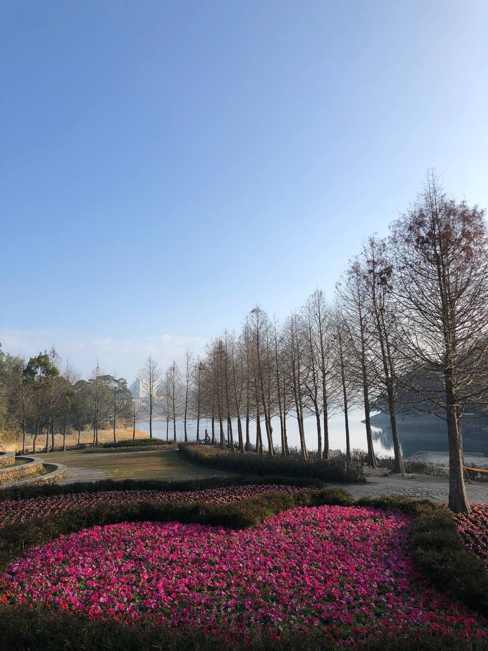 家是故鄉美 – T.H. Schee