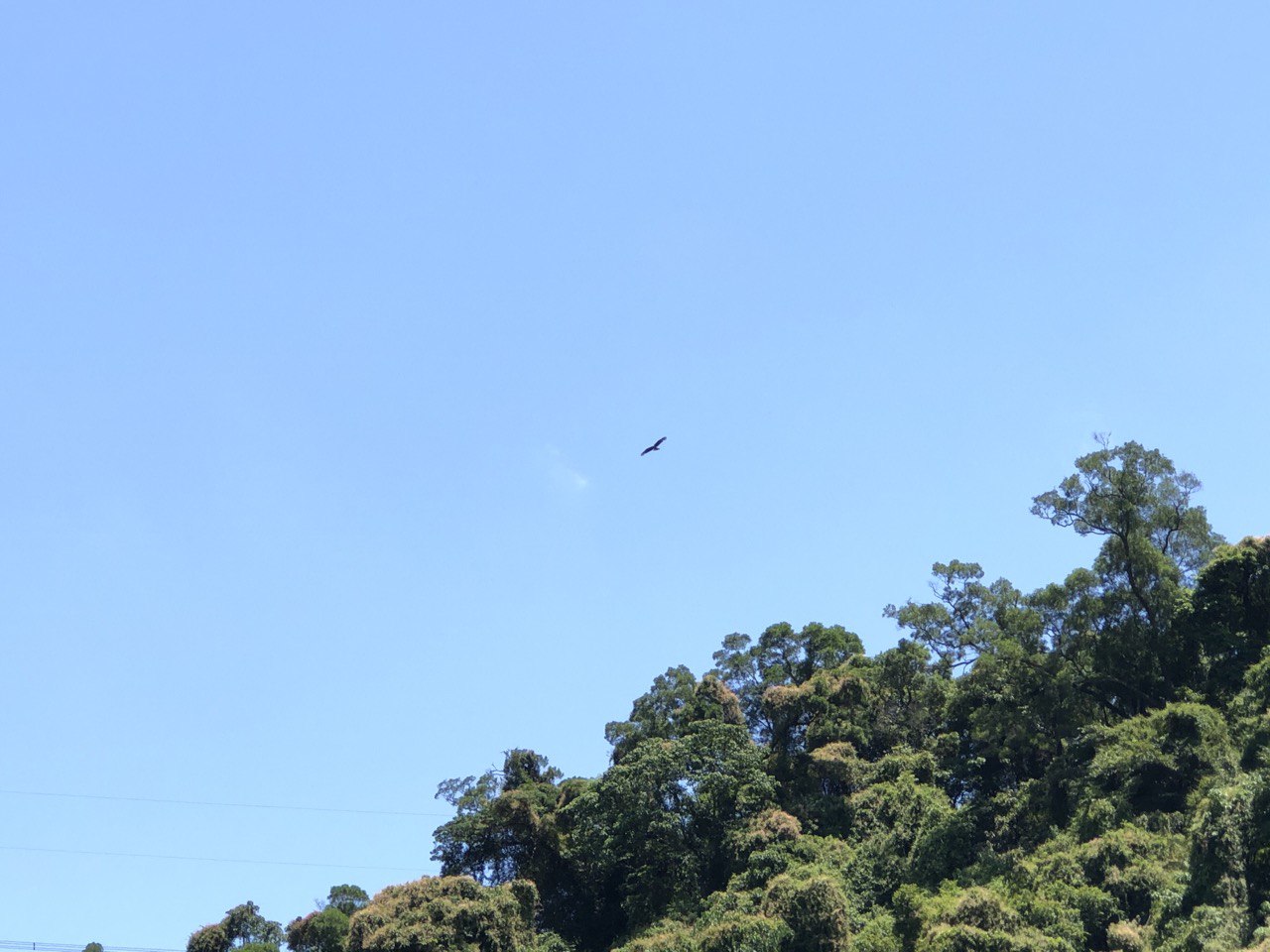 防疫三級運動日誌 – Day 8 – T.H. Schee