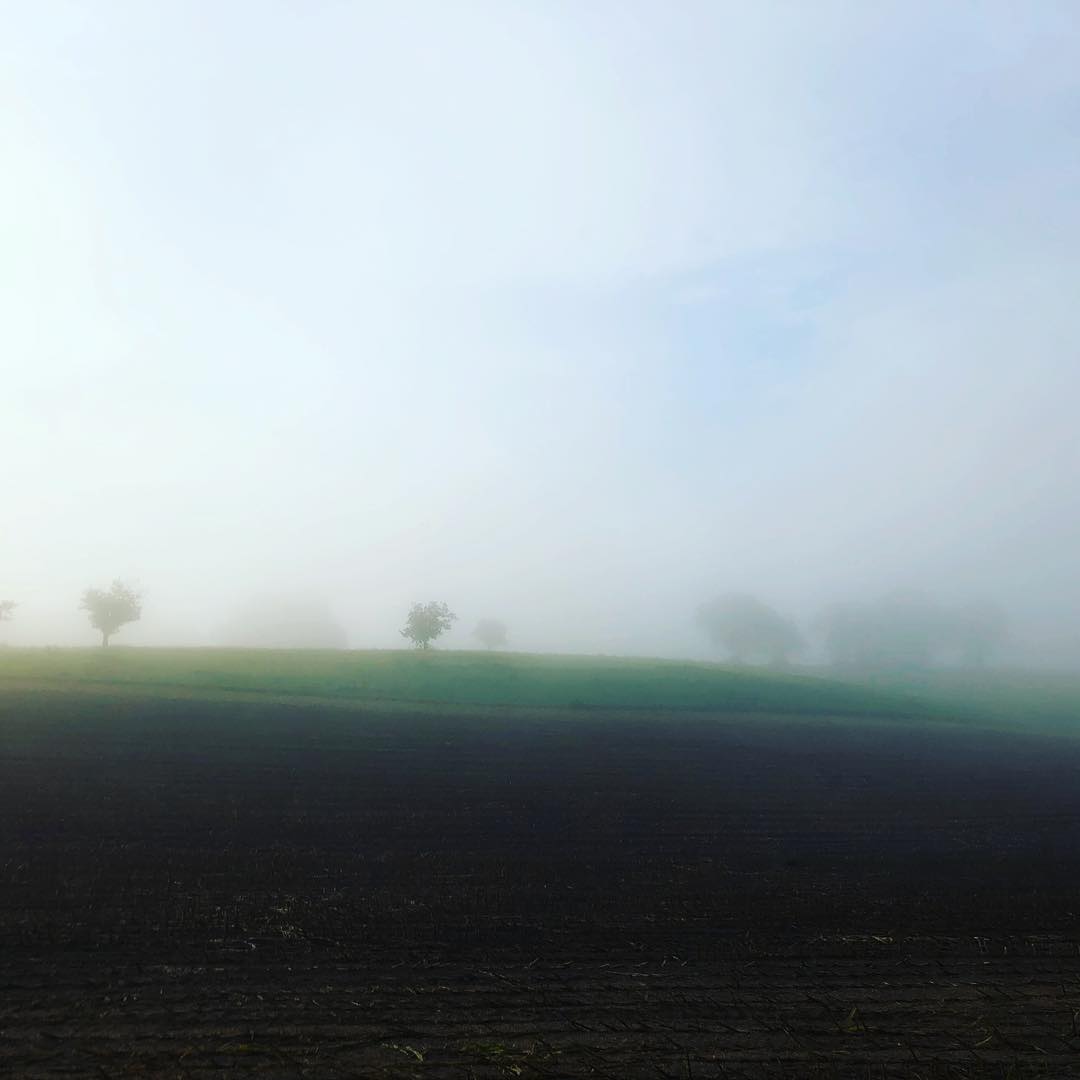 Disinformation is an Information Environment Problem – T.H. Schee