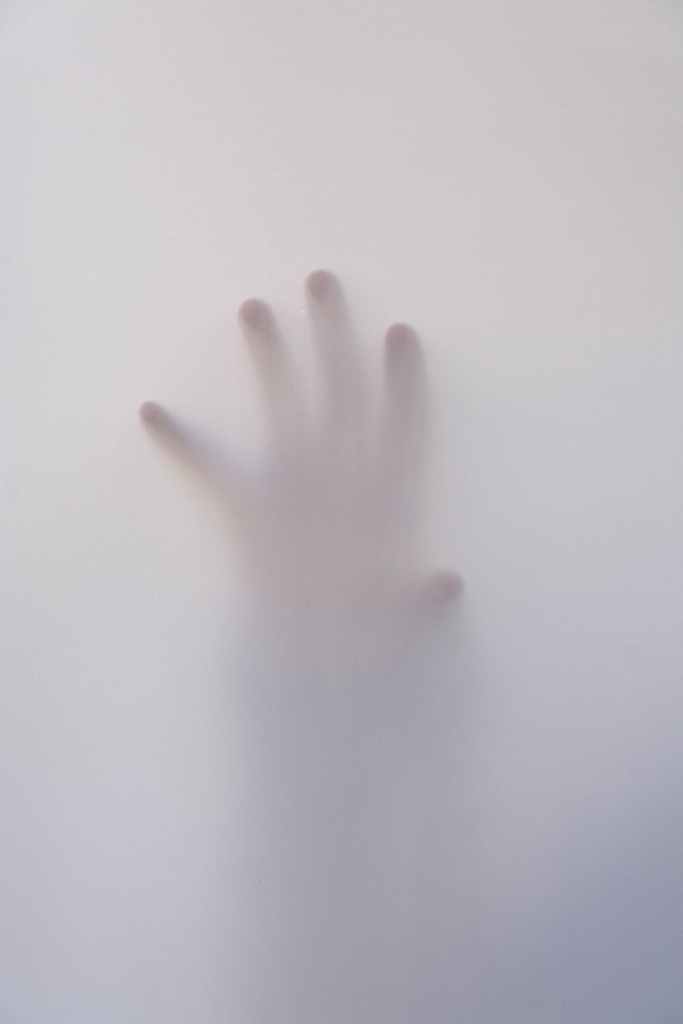 T.H. Schee – Here since 2002~